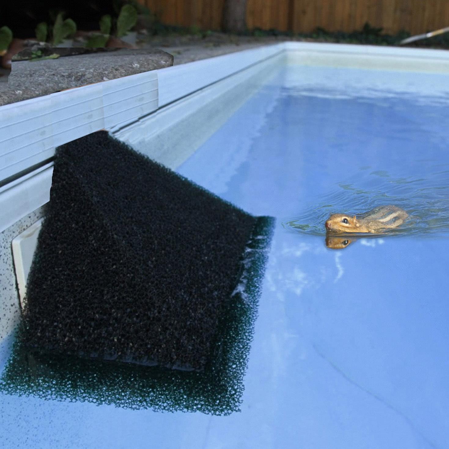 Open Box Rodent Rescue Animal Remover | Pool Supplies Canada